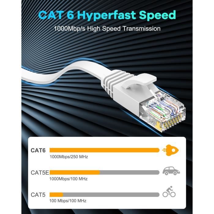 Câble Ethernet 30m Cat 6 Plat Câble de Réseau Haute Vitesse Gigabit ...