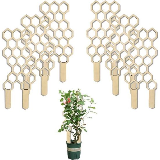 Lot de 6 petits treillis en bois pour plantes grimpantes-30 cm-Support ...