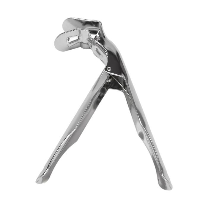 Pince Lève-Grille Barbecue Anti-Brûlure 20,5 cm, Outil pour Soulever ...