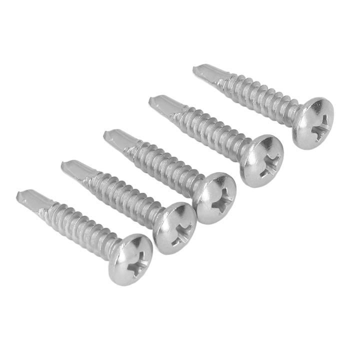 AUN Vis autoperceuse - 100 pcs vis auto-perceuse tête ronde 304 attaches en acier inoxydable ...