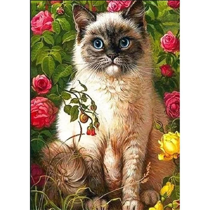 5D Diamond Painting Kit Complet, Broderie Diamant Diy Peinture Diamant ...