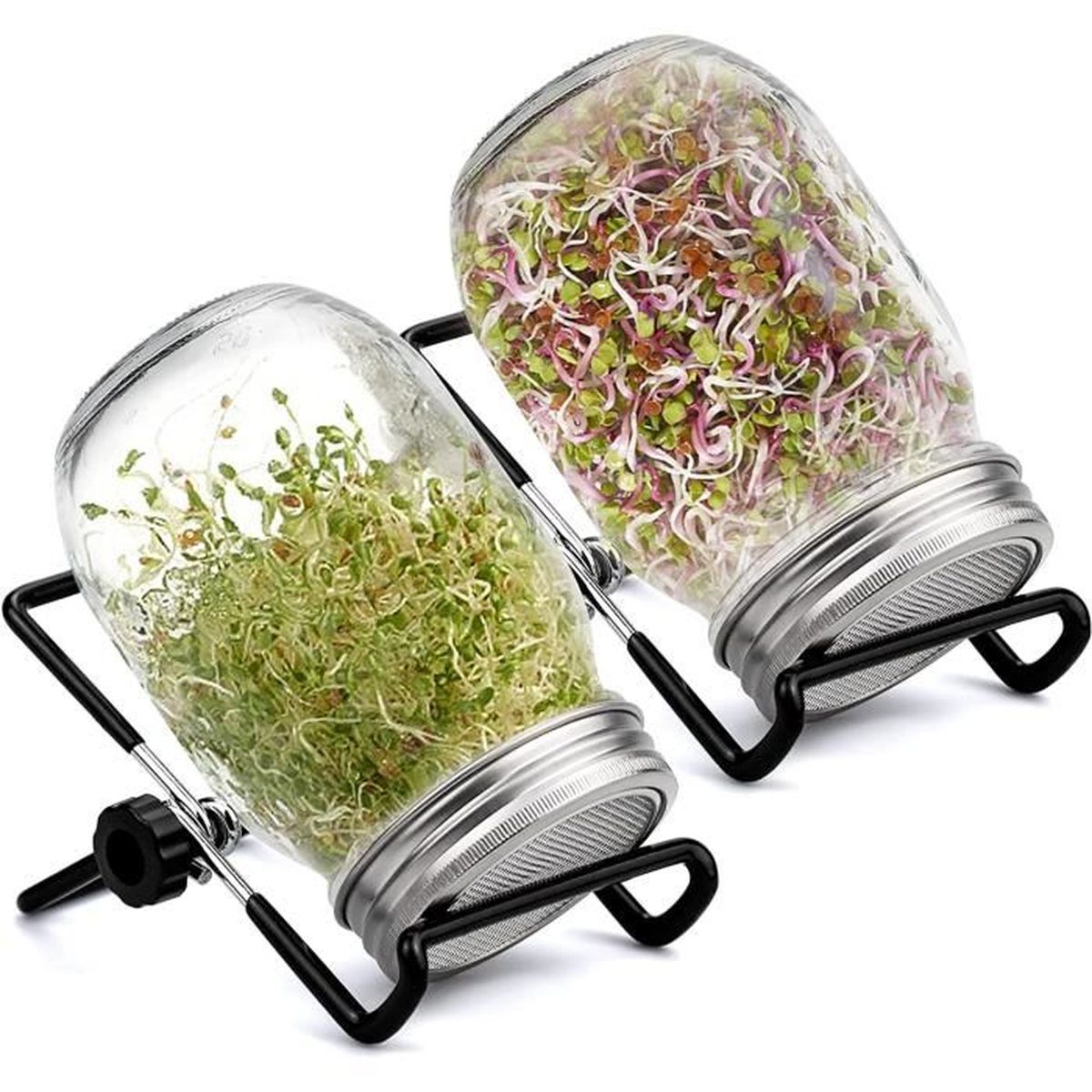 Germoir en Verre Bocal à Germes 450 ML avec Couvercle à Grille en Acier ...