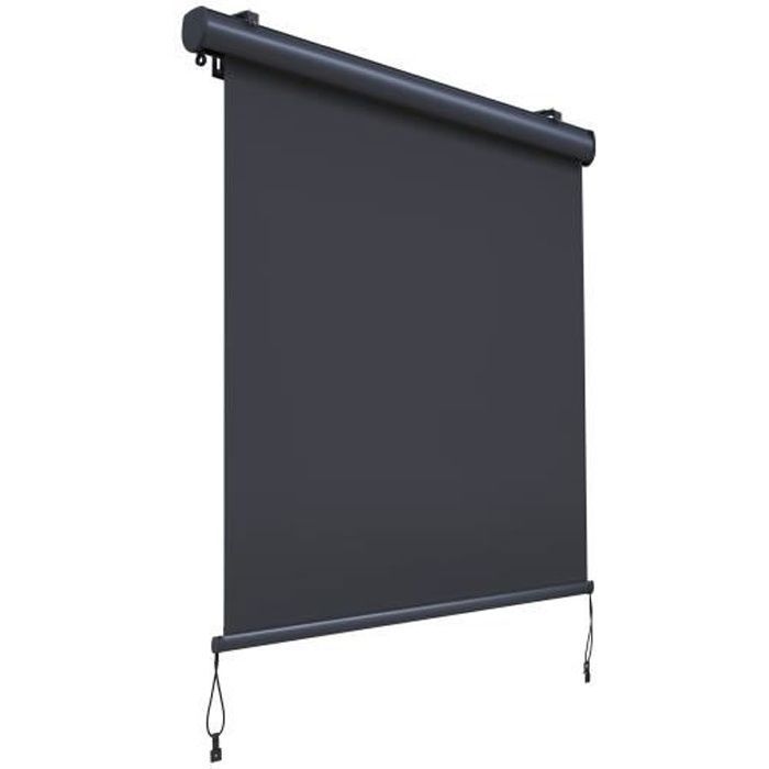 Store Vertical Rétractable Canopée avec Coffre et Manivelle Gris 1.4x2 ...