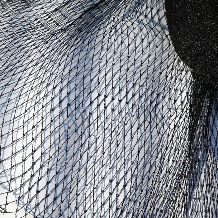 Filet Anti Oiseaux, 8m x 6m Filet Poulailler Noir, Filet de Protection ...