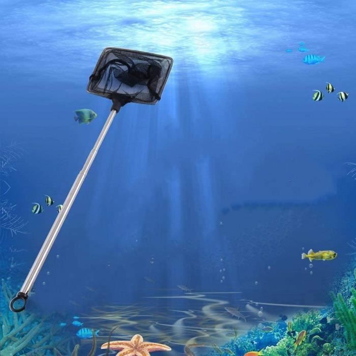 Épuisette à poisson - Non spécifié - Réglable - Acier inoxydable - Noir ...