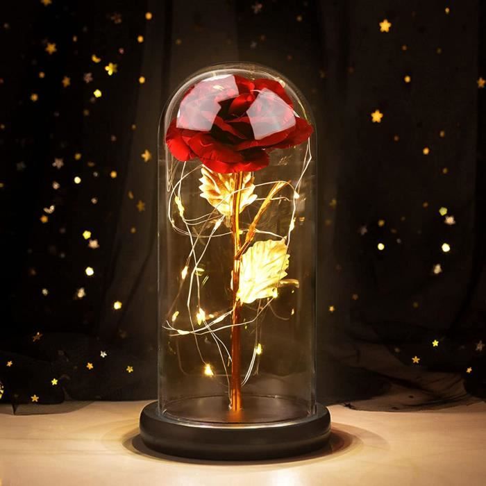 Rose éternelle sous cloche - AMOUNE - Rouge - LED - Cadeau idéal ...