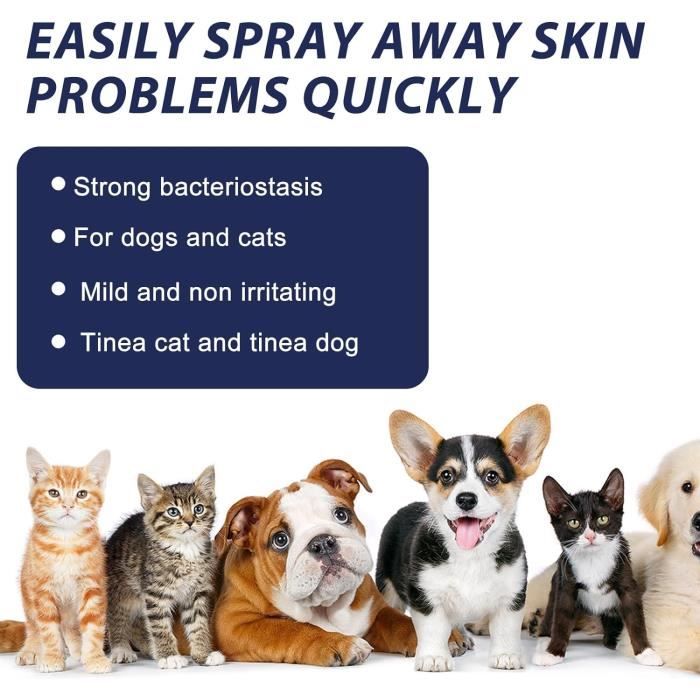 Crème Contre l'eczéma pour Animaux de Compagnie, pommade de Soin des ...