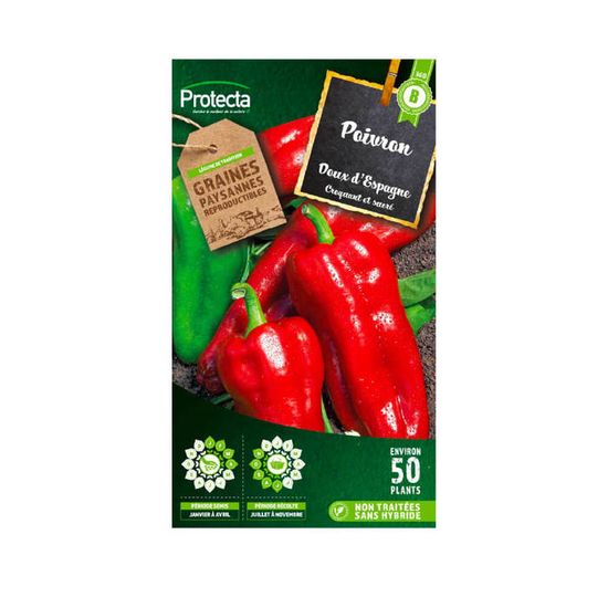 Poivron Doux d'Espagne - Cdiscount Jardin