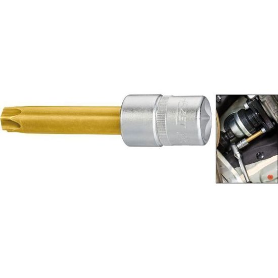 Hazet Douille mâle TORX pour arbres à cardan - Carré creux 12,5 mm ...
