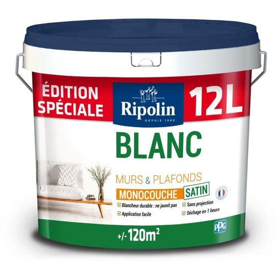 Peinture murs et plafonds - RIPOLIN - 426884 - Monocouche - Satin - Blanc - 12 L - Cdiscount ...