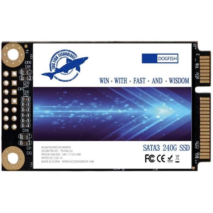 Ssd Interne - Limics24 - Msata 240Go Internal Solid State Drive Mini ...