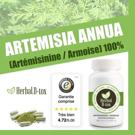 Complément Alimentaire Herbal D-tox Artémisinine ~ Armoise (Artemisia Annua L) 100% Pure, 100 ...