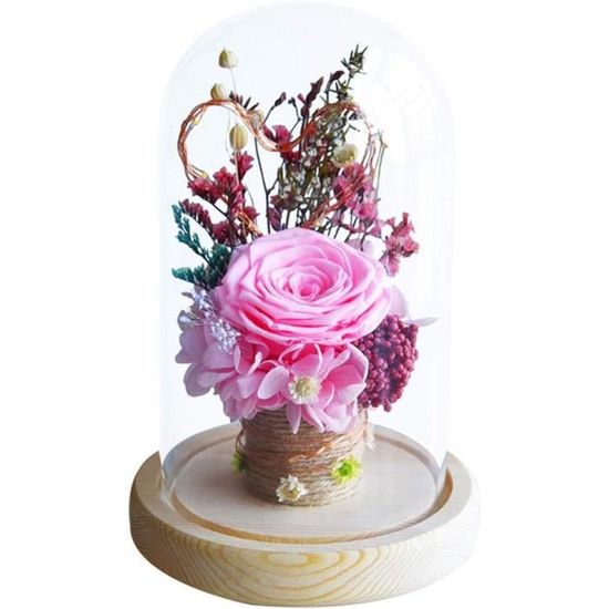 Cadeau De La Saint-Valentin Rose Eternelle Rose En Soie Rouge Et ...