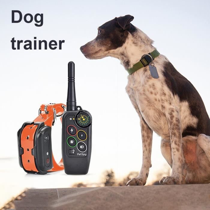 Electric Dog Remote Control Collar Waterproof Plastic Dogs Shock Collar ...