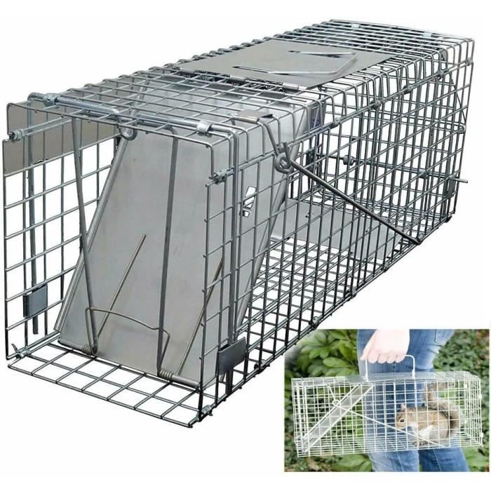 Cage piège - DAYPLUS Piège de capture - Grillage galvanisé - 61x19x21 ...