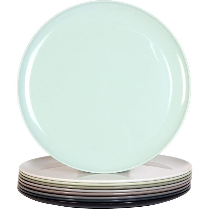9 Grande Assiettes En Plastique De 25Cm,Assiettes Diner (Couleur ...