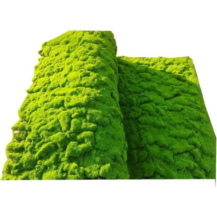 1x1m mousse Artificielle Tapis de Gazon Faux mur de mousse Durabilité ...