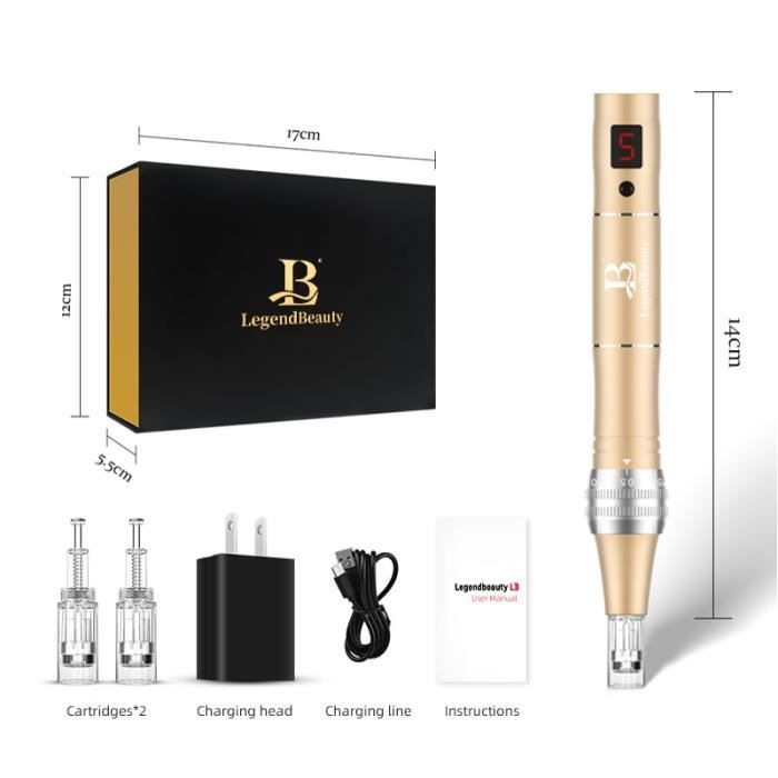 Prise L3-UK - stylo de Microneedling 5 pour Dermapen, outil de thérapie ...