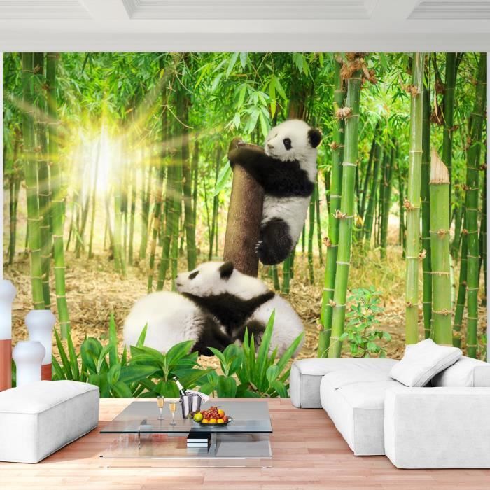 Runa art Papier Peint Intissé Tapisserie Animaux Panda 396x280 cm (11,1 ...