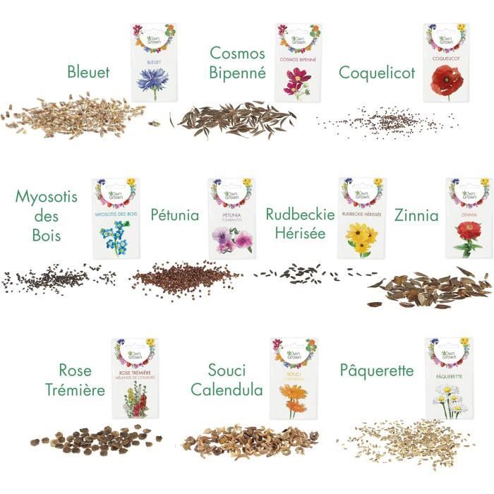 10 Variétés De Semences De Fleurs Et De Fleurs Comestibles - Kits Prêt ...