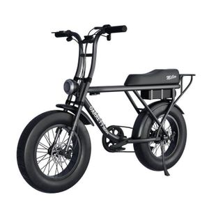 Fatbike vélo électrique biplace - Cdiscount