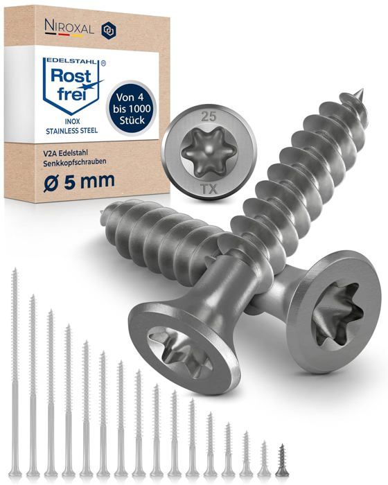200x Vis à bois tête fraisée en Acier inoxydable Torx V2A 5x16 pour ...
