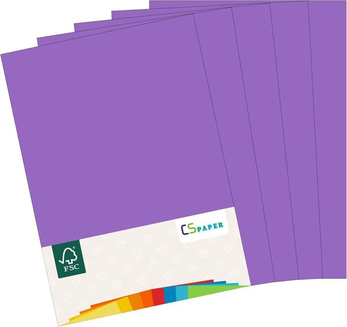 Made In Eu 180 Feuilles De Papier De Couleur Violet A4 80 G/M² Cs Paper ...
