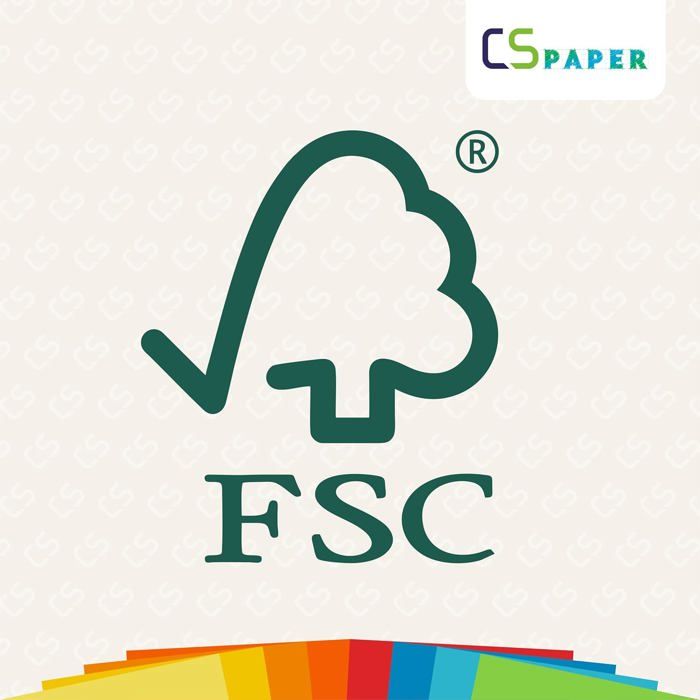 Made In Eu 180 Feuilles De Papier De Couleur Violet A4 80 G/M² Cs Paper ...