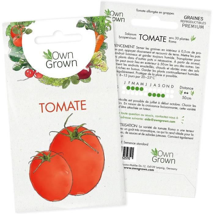 Graines De Tomate (Solanum Lycopersicum), Graines De Tomates À Cultiver ...