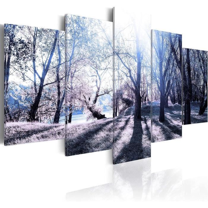 Murando Tableau Acoustique Nature Foret 100X50 Cm Impression Sur Toile ...