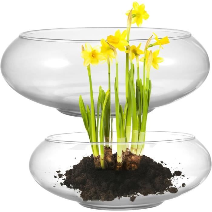 2 Pièces Vase En Verre Transparent Aquarium Nénuphar Bassin De Narcisse ...