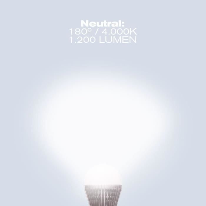 Issop - Pack 2 Ampoules Led E27 Lumière Blanche Neutre 4000K 9W (Équivalent À 100W) - Ampoule À ...