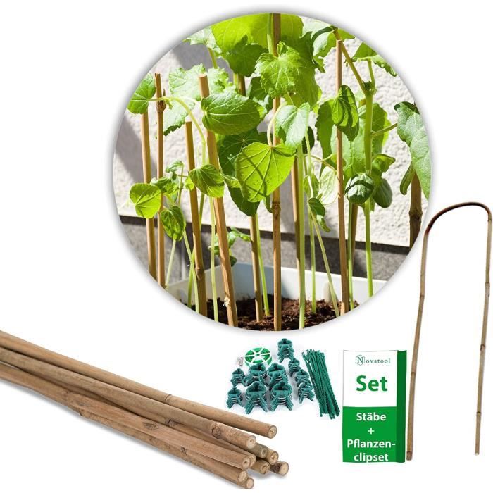 Lot de 5 grilles de plantes en bambou de 45 cm et 16 clips pour plantes ...