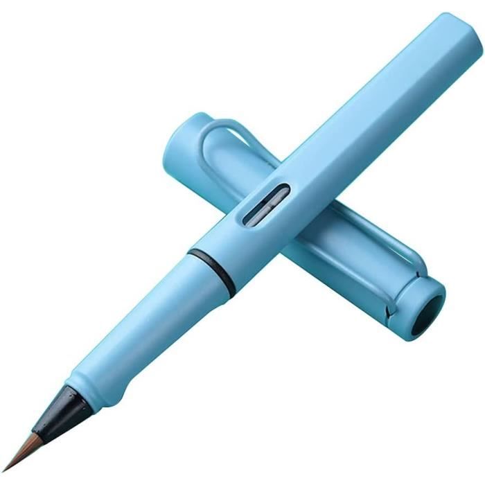 Stylo De Calligraphie Stylo-Plume Rempli De Piston De Qualité ...