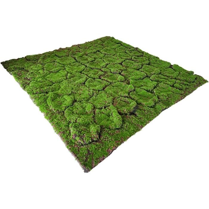 Mousse Murale Végétale Artificielle Pour Fausse Pelouse Scène Herbe ...