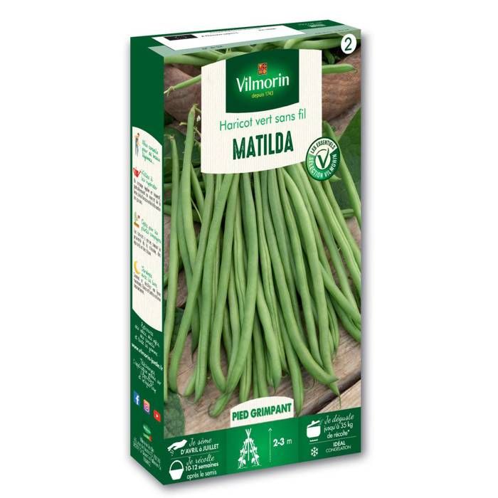 Graines de Haricot mangetout Matilda- - Cdiscount Jardin