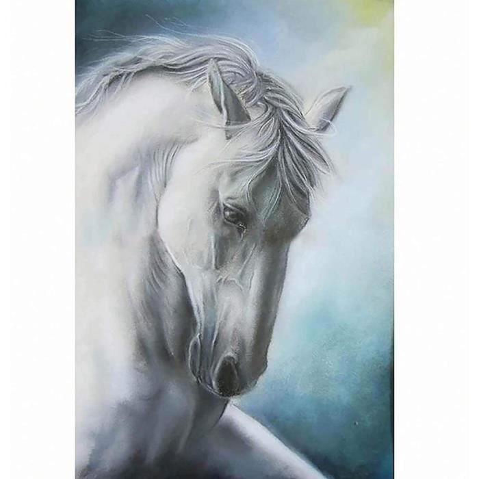 Peinture au Numero DIY Cheval Paint by Number Kit Peinture Par Numéros ...