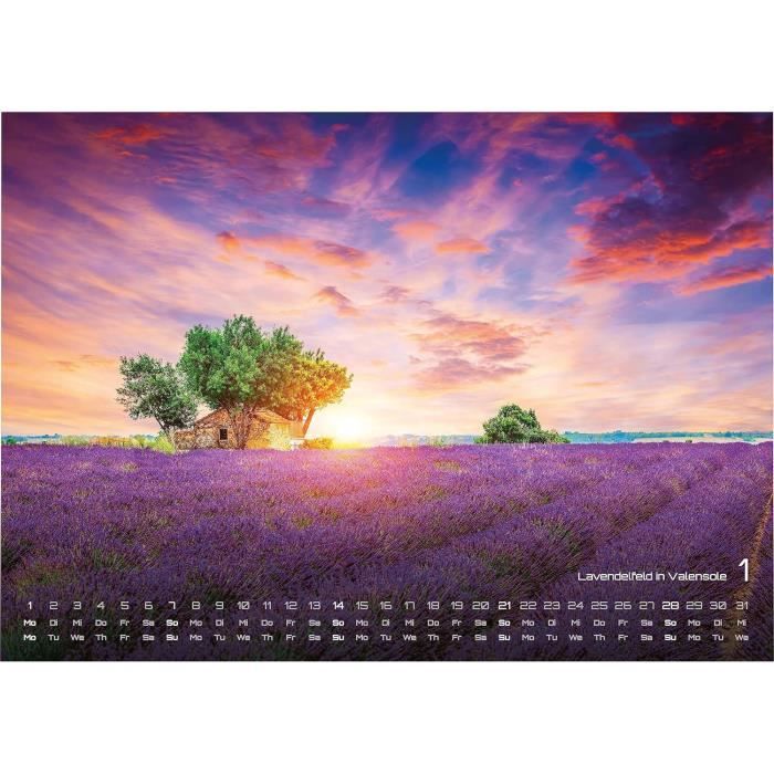 Provence - Une Pièce Spéciale France - 2024 - Calendrier Din A3[H1036 ...