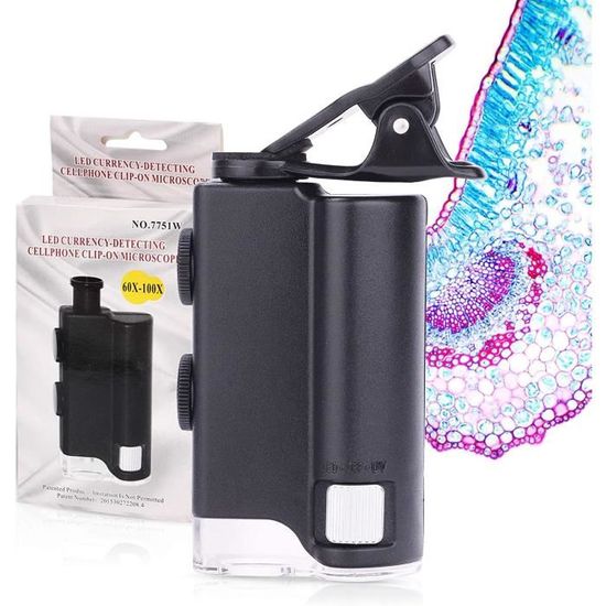 Microscope de Poche 60x-100x, Mini Microscope Portable avec Zoom à ...