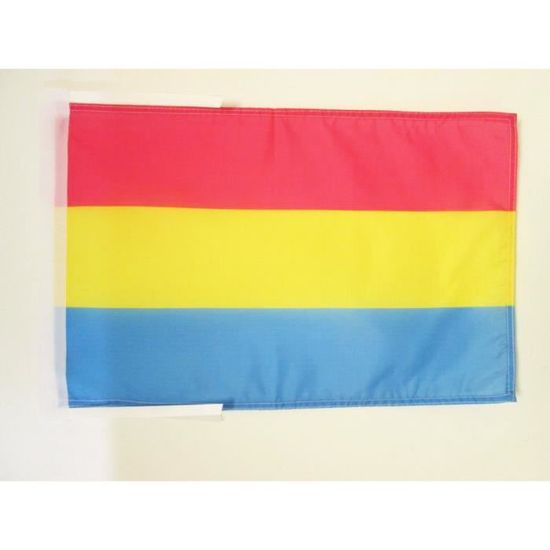 Drapeau Pansexualité 45x30cm - omnisexualité - pansexuel Haute qualité ...