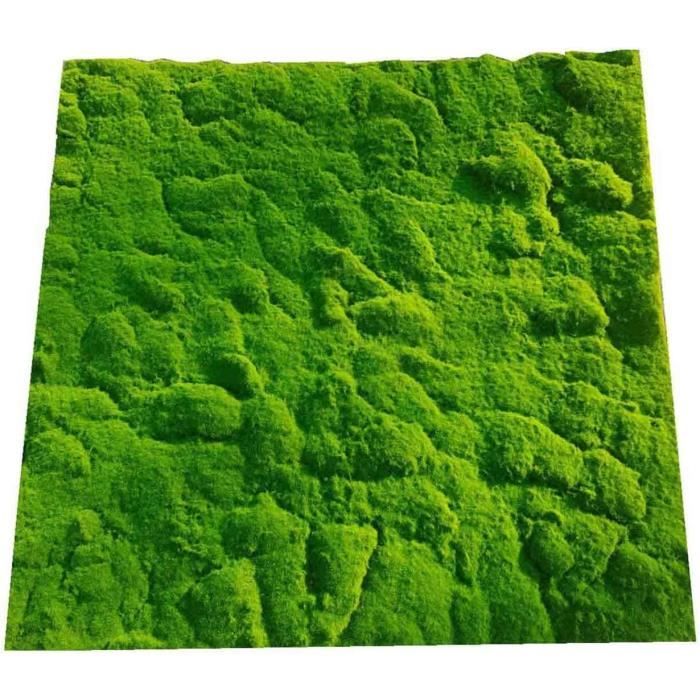 1x1m mousse Artificielle Tapis de Gazon Faux mur de mousse Durabilité ...