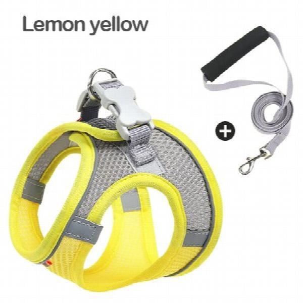 MADDEN Dog Harness and Leash Set Adjustable Reflective Vest Walking ...