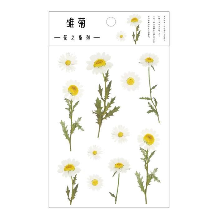 GOMMETTE,Daisy--Autocollants herbiers transparents, fleurs, feuilles ...