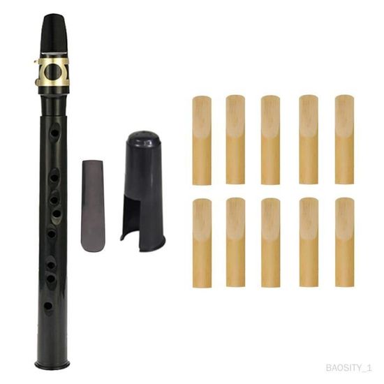 Saxophone - Mini Saxophone de poche - C - PVC et Bois - Portable ...