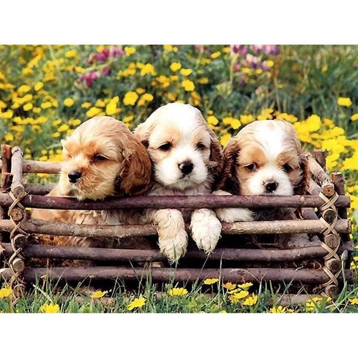 Diamond Painting Chat Prix Diamond Painting Kit Complet - Chaton Au ...