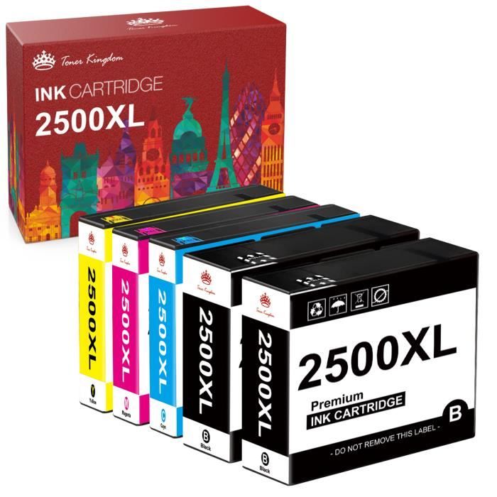 TONER KINGDOM PGI-2500XL 5 Cartouche d'encre compatibles Canon MAXIFY ...