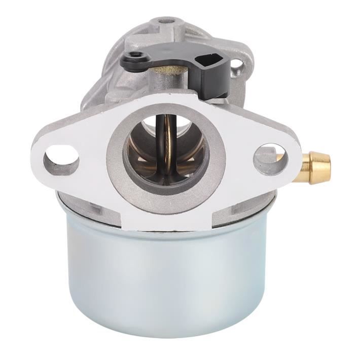 Carburateur Pour Briggs Stratton 14111 799868 498254 497347 -Vvikizy ...