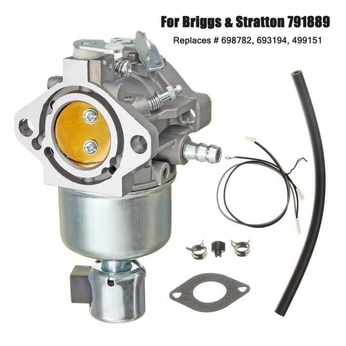 Carburateur Carb Kit Remplacer Pour Briggs & Stratton 791889 698782 ...