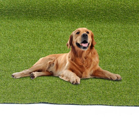 Izrielar Gazon Artificiel Synthétique Exterieur Tapis Herbe Artificielle Vert 200 x 300 cm ...