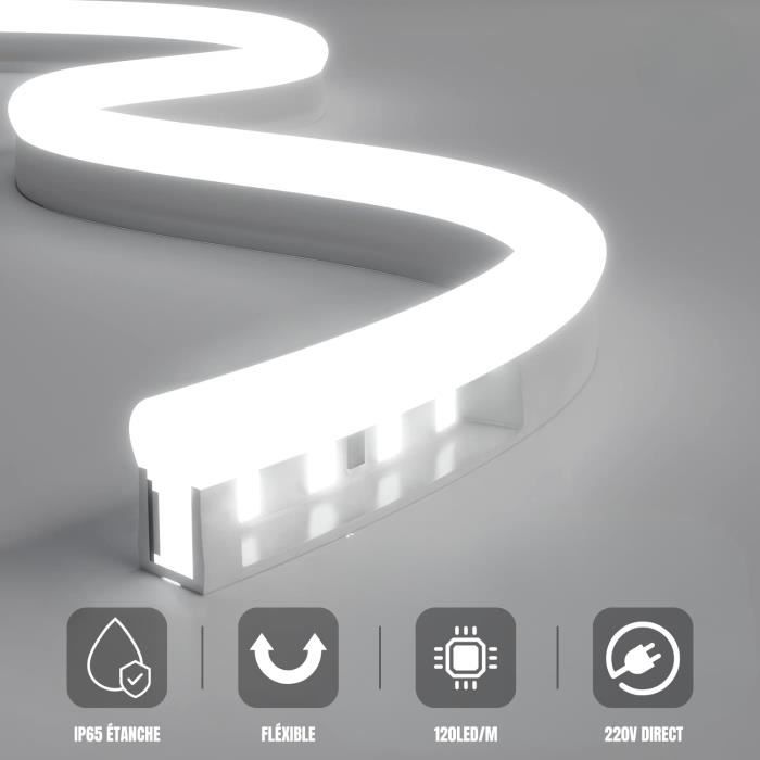 Ridgetube Kit Ruban Led Néon 10 Mètres Blanc Froid 220V Bandeau ...